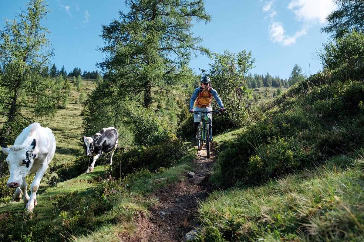 Guest blog: The single trail paradise on the Kaiserburg